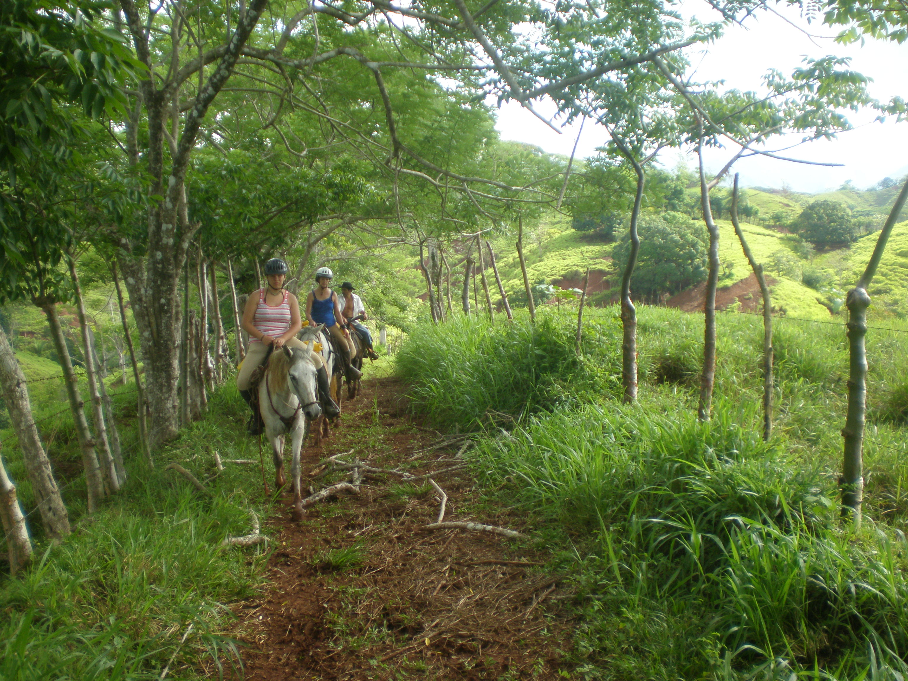 Day Rides | Barking Horse Farm